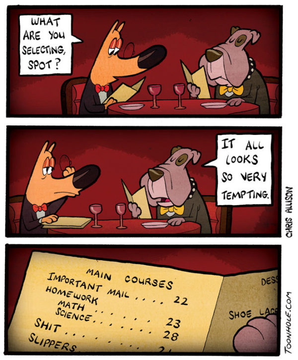 Dog Restaurant – Toonhole